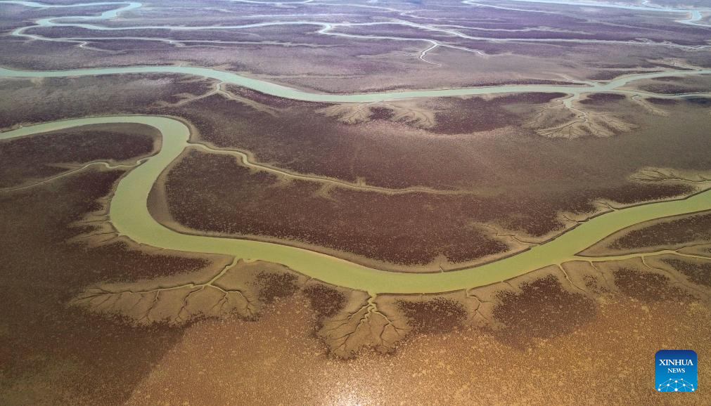 Aerial view of mudflats of Yellow River Delta in Dongying, China's ...