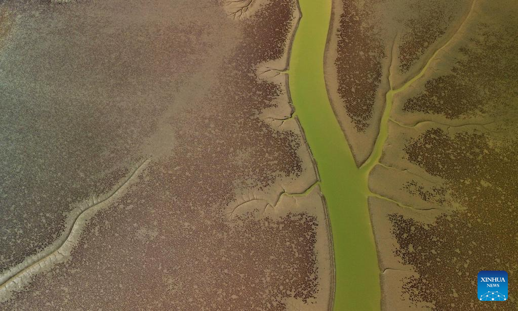 Aerial view of mudflats of Yellow River Delta in Dongying, China's ...