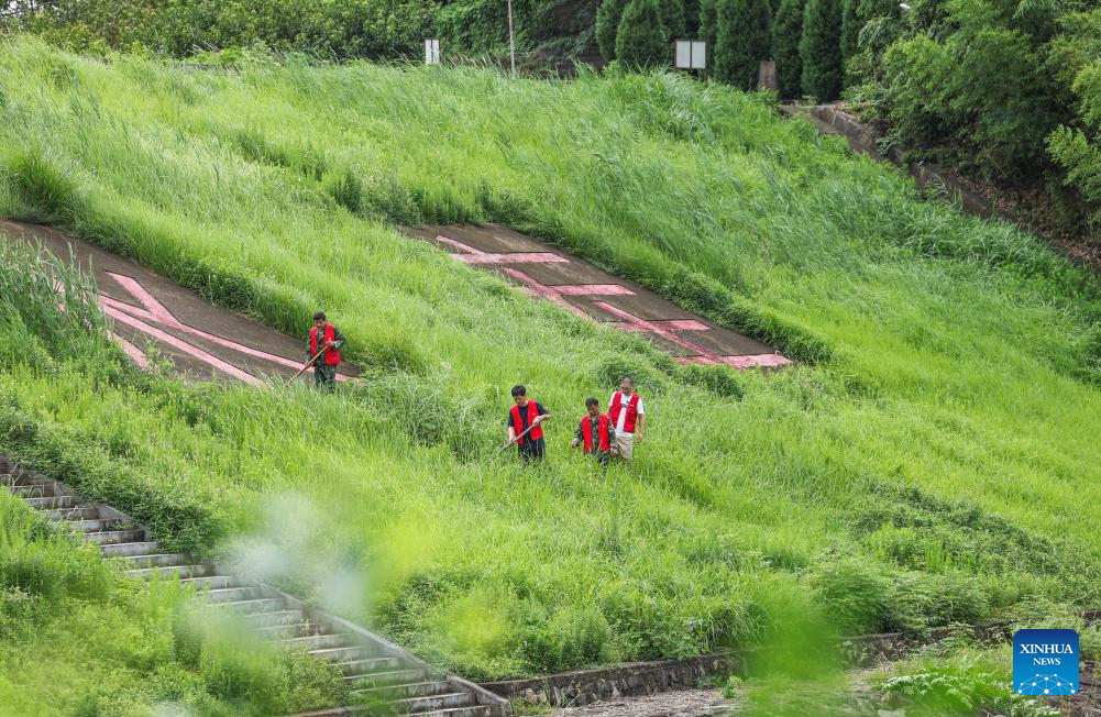East China province braces for Typhoon Pulasan-Xinhua