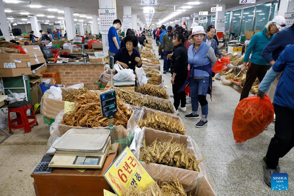 2024 Geumsan World K-Insamm Festival held in Geumsan-gun, S. Korea-Xinhua