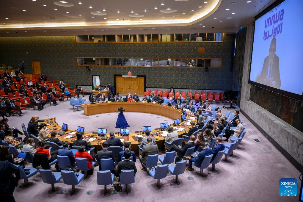 Security Council resolutions binding for all states: Chinese envoy-Xinhua