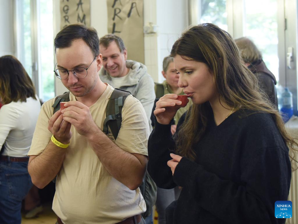 Vienna Tea Festival kicks off in Austria-Xinhua