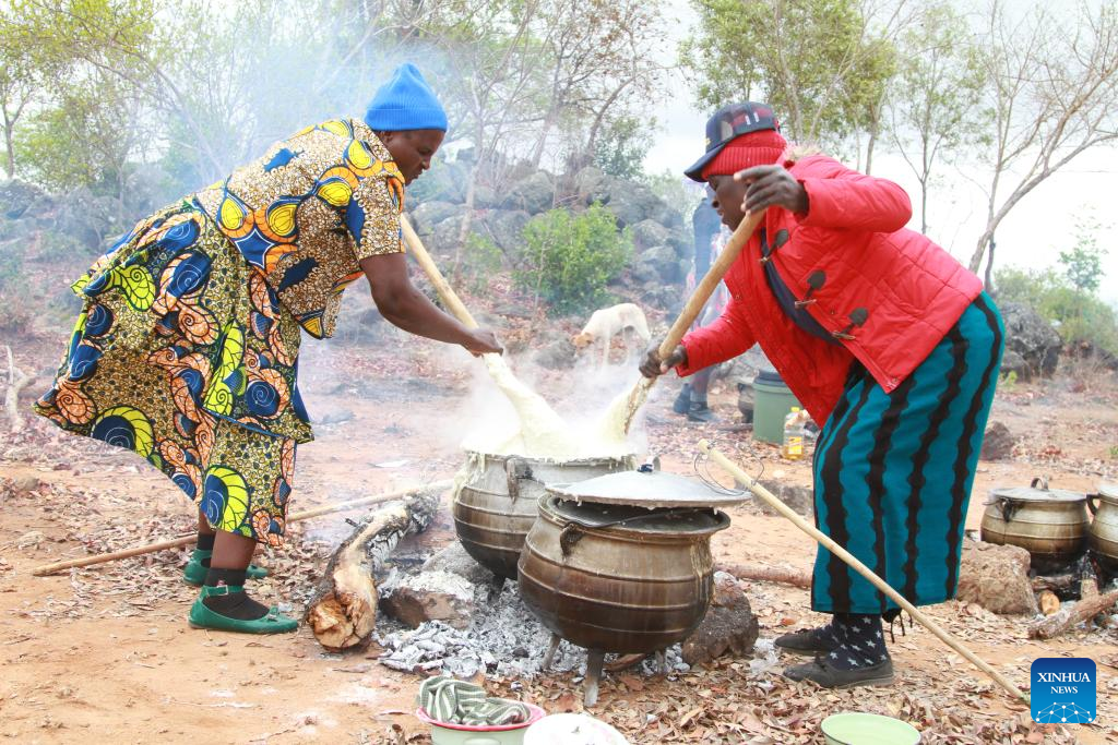 Feature: Zimbabweans adopt traditional crops to fight hunger-Xinhua