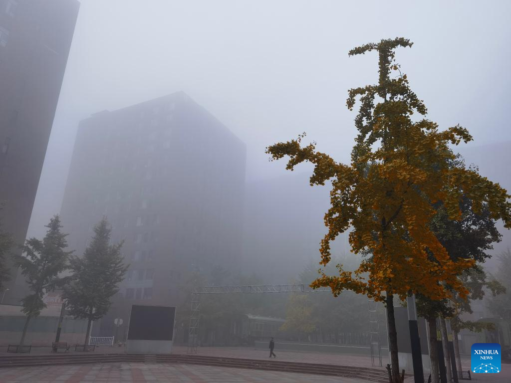 Fog hits Beijing-Xinhua
