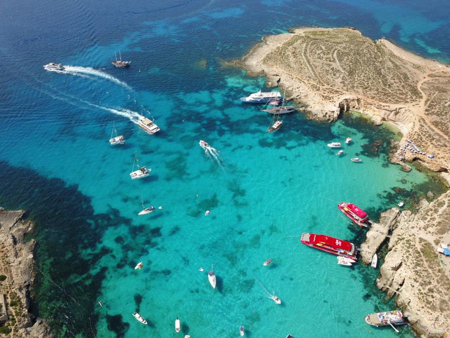 Malta seeks to boost science, technology cooperation with China, says ...