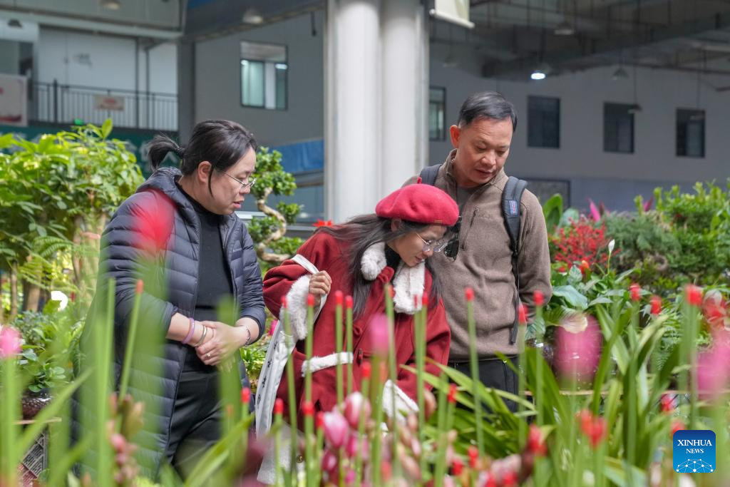 Flower markets in China's Yunnan start annual peak season-Xinhua