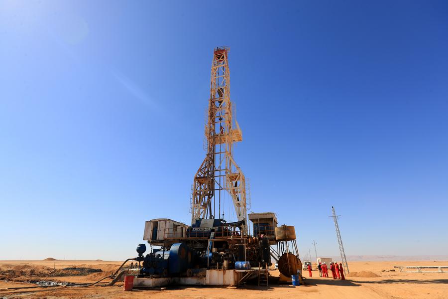 Chinese drilling team turns Egypt's desert into farmland-Xinhua