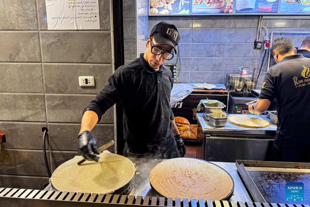 Feature: Syrian refugees find home and hope in Egypt-Xinhua