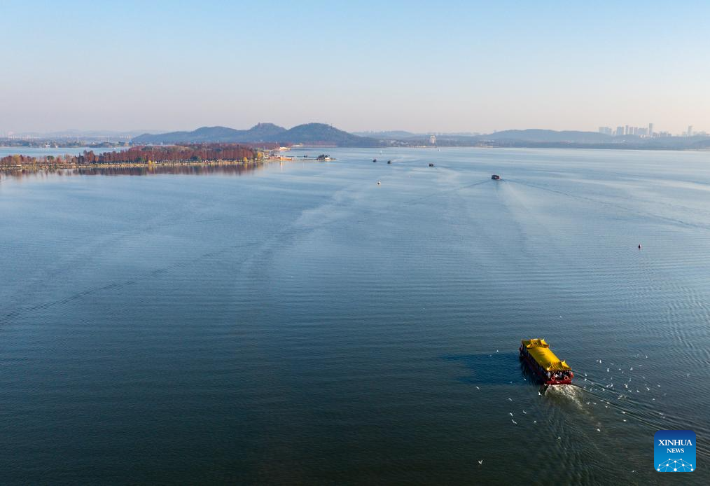 Wintering red-billed gulls arrive in Donghu Lake scenic spot in Wuhan ...
