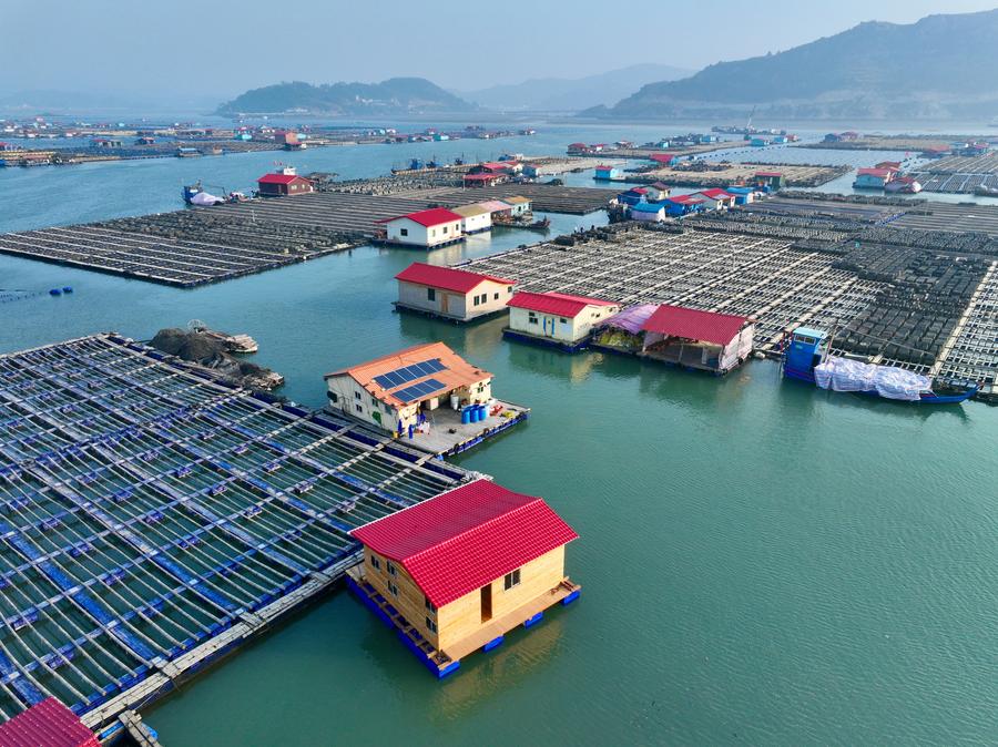 Interview: China's modernization offers lessons for Global South ...