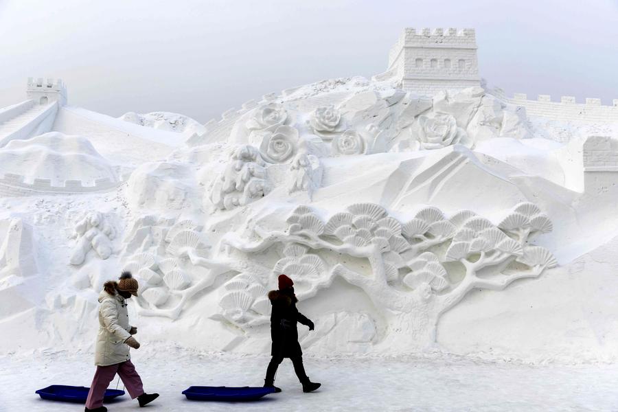 Economy&Life | Harbin exuding charm with ice and snow art-Xinhua