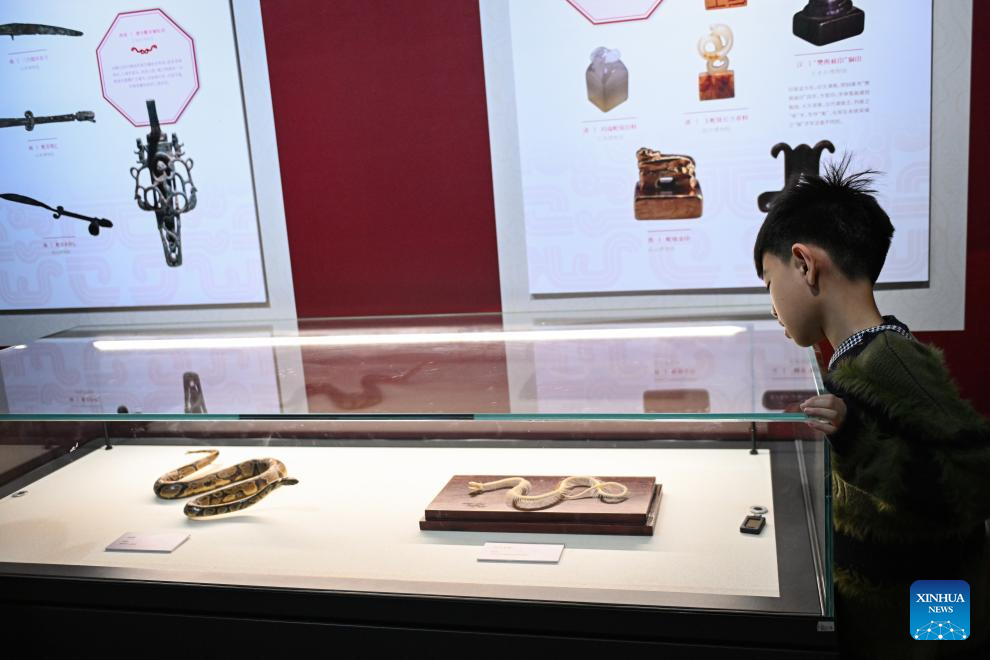 Snake themed exhibition held at Natural History Museum of China in ...
