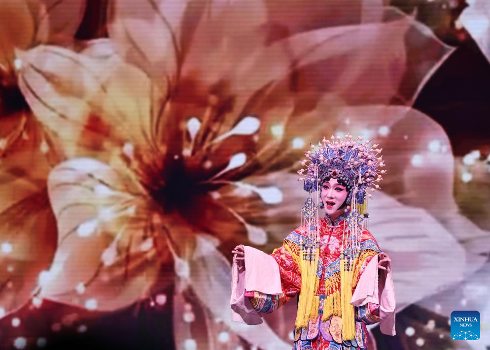 Spring Festival Gala 2025 held in Paris-Xinhua