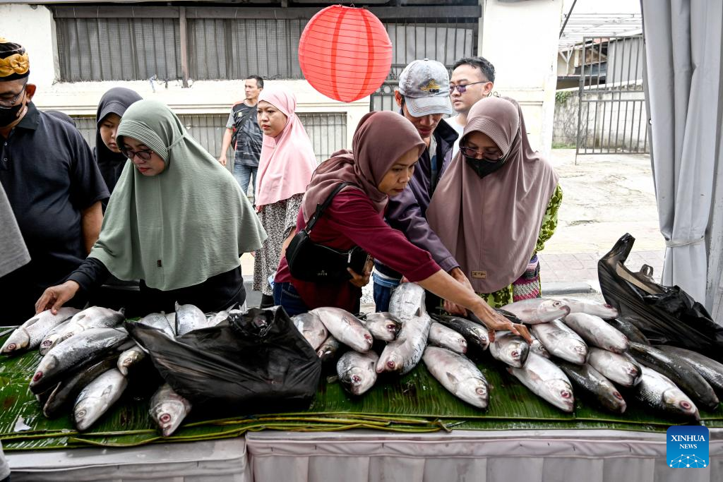 People select huge milkfish during Rawa Belong Milkfish Festival in ...