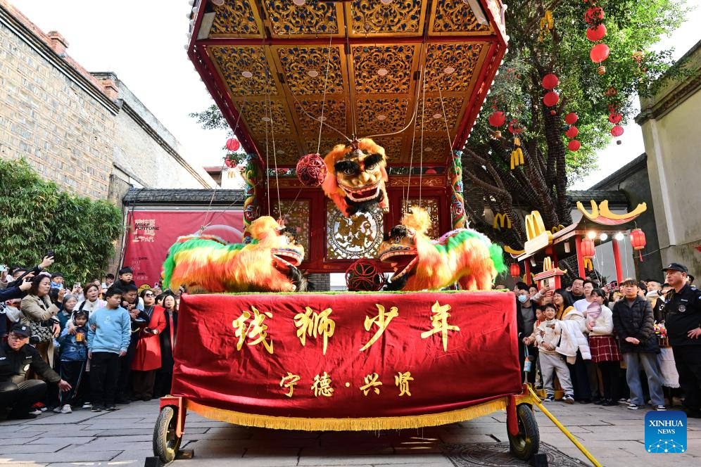 String lion dance team stages splendid performance in SE China's Fujian ...
