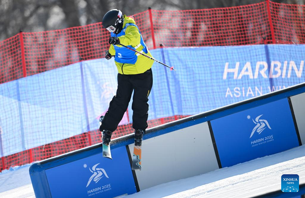 Highlights of men's freeski slopestyle at Asian Winter Games-Xinhua
