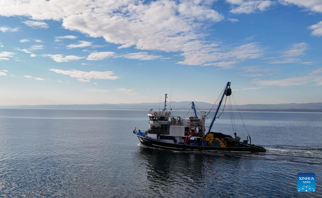 Feature: Fishing boom in NW Türkiye brings record catches, revenues for ...