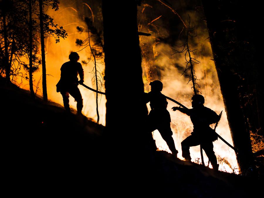 China's first large-scale smart forest fire rescue training system ...