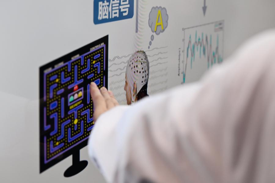 Chinese scientists uncover complex blueprint of human brain cortex-Xinhua