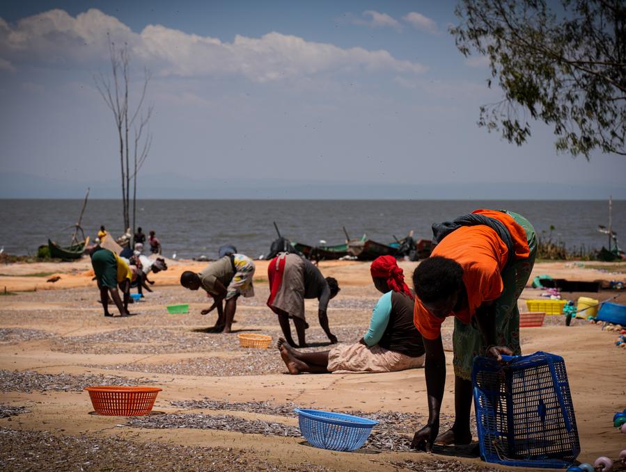 (Hello Africa) Kenya's fisherfolk embrace resilience measures to ...
