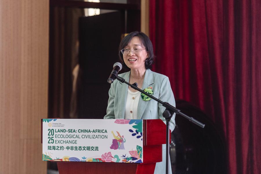 Dialogue on China-Africa green cooperation held in Kenya-Xinhua