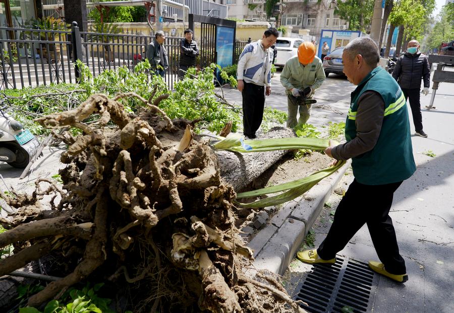 Fierce gales sweep northern China-Xinhua
