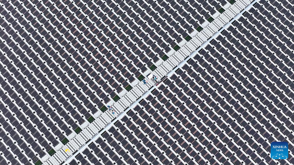 In pics: floating offshore photovoltaic project in Qingdao, China's Shandong-Xinhua