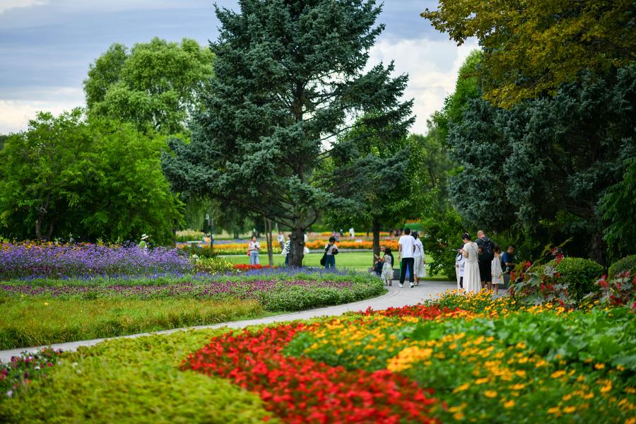 EcoChina | Explore wetlands of Sun Island in NE China-Xinhua