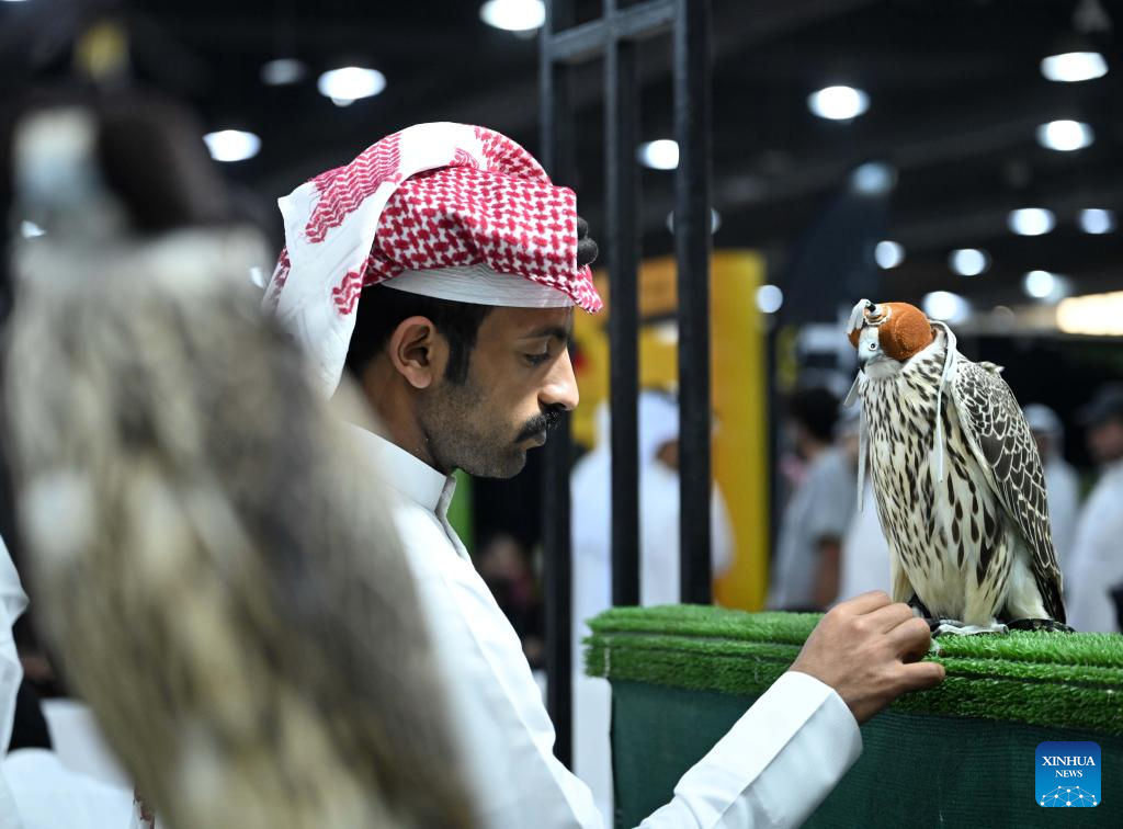 In pics: Kuwait falcons exhibition-Xinhua
