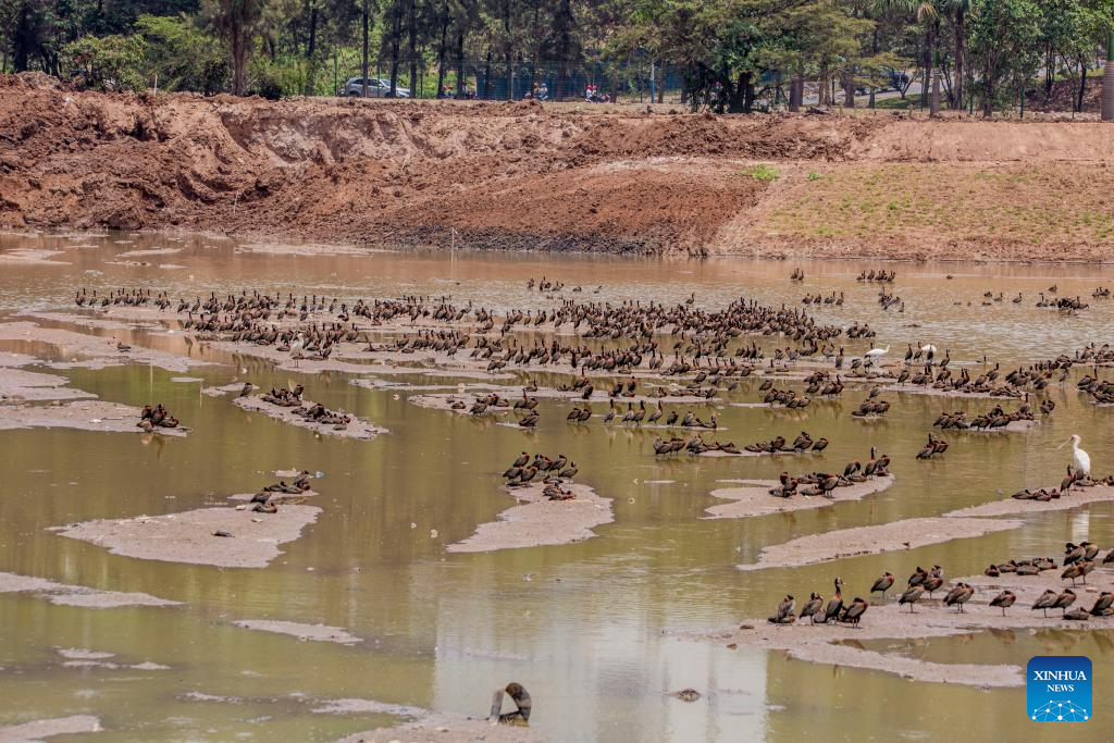 Wetland restoration project underway in Kigali, Rwanda-Xinhua