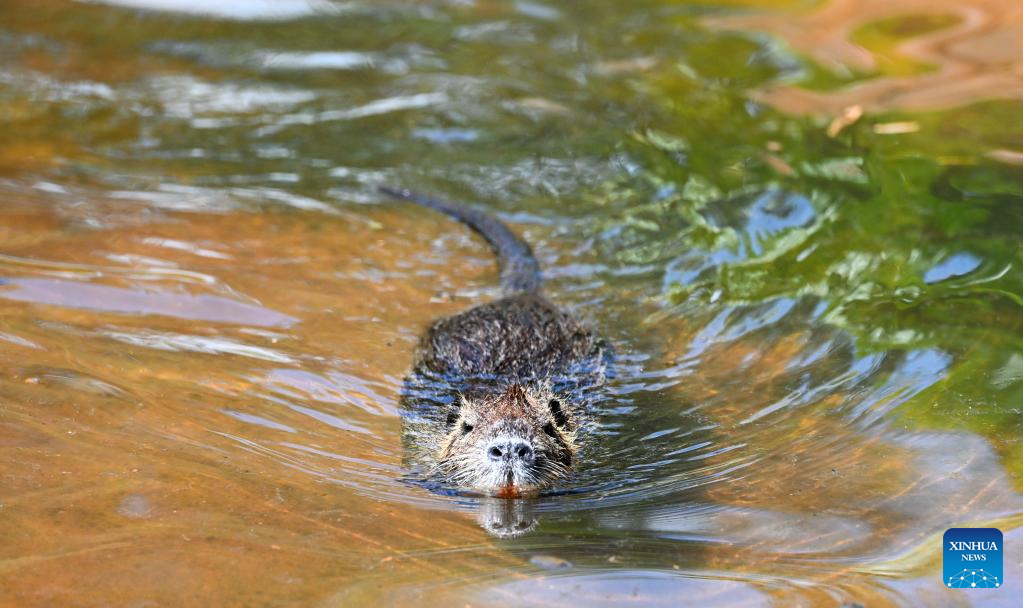 New animals make debut at Hainan Tropical Wildlife Park and Botanical ...