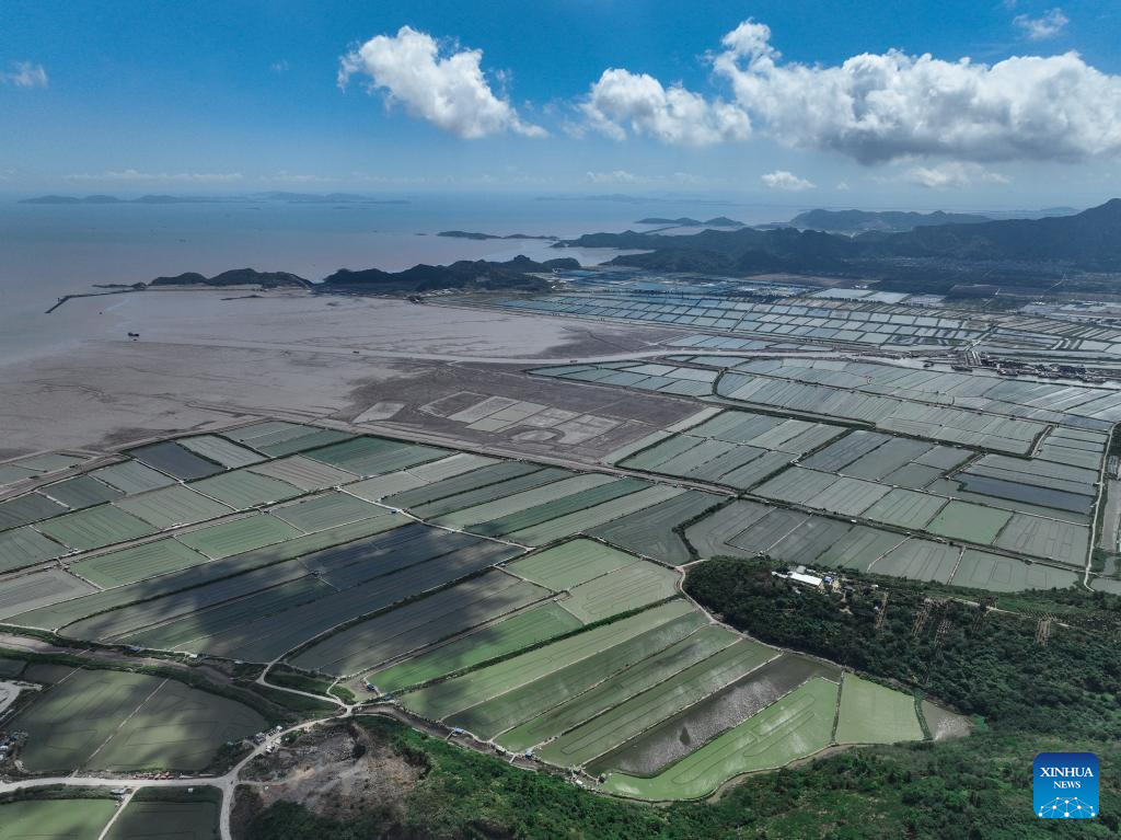 Farm-raised blue crabs enter peak harvest season in Sanmen County ...