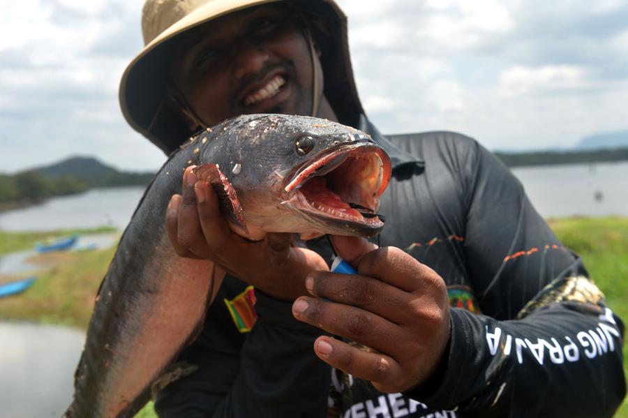 Asia Album: Fishing competition in Sri Lanka-Xinhua
