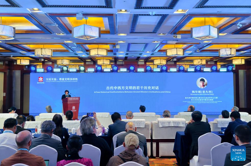 Parallel forums held during 2025 Beijing Culture Forum-Xinhua