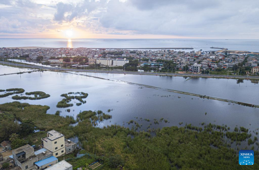 Haiwei National Wetland Park in China's Hainan reopens to public after ...