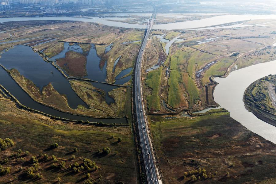 InPics | Autumn scenery of wetland parks in northeast China's Harbin-Xinhua