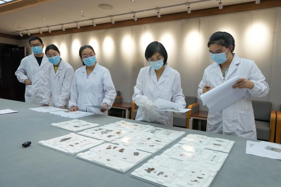 Update: China Focus: 2,300-year-old Chinese silk manuscripts finally ...