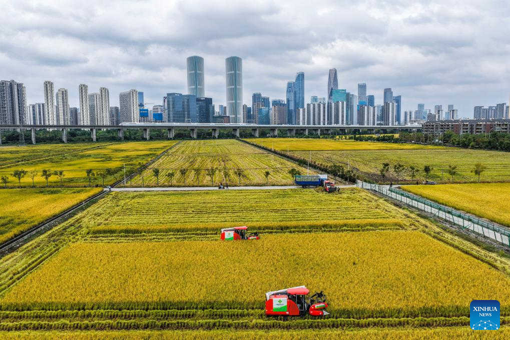 Xinhua photos of the day-Xinhua