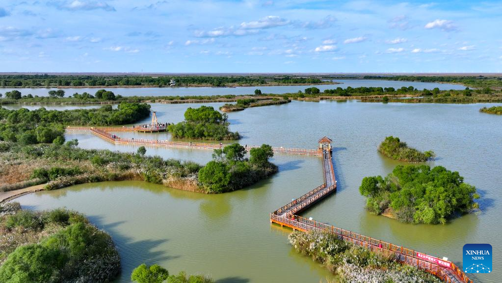 Six bays across Shandong recognized as outstanding examples of "beautiful bays"-Xinhua