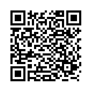 Feature: From El Fasher to Tawila -- Suvivors fleeing a city of flames ...