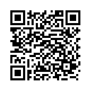 China holds Central Economic Work Conference to plan for 2026-Xinhua