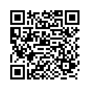 Explainer: Key takeaways from Putin's annual year-end press conference ...