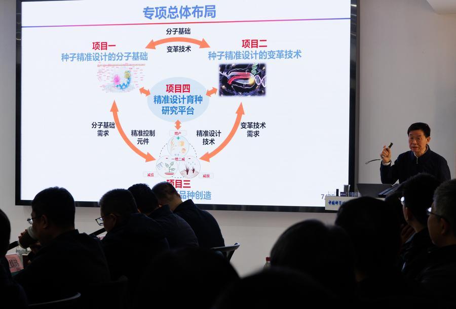 Chinese scientists develop "precision-designed" seeds to boost food ...