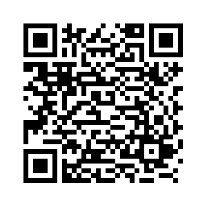 Singapore's core inflation holds steady at 1.2 pct in November-Xinhua