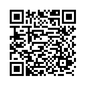 Hong Kong's Hang Seng Index opens 0.29 pct higher-Xinhua