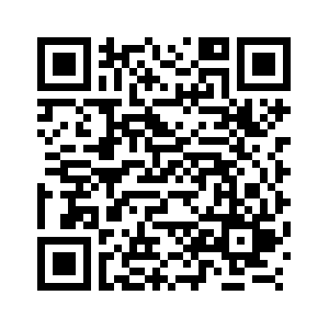 Syria unveils currency reform plan, cutting 2 zeros from pound-Xinhua