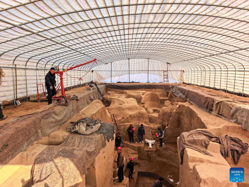 China Focus: Royal tomb offers clues to China's earliest wildlife ...