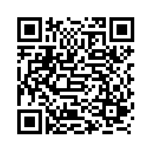 Column: China's diplomacy with Global South -- respect and new ...