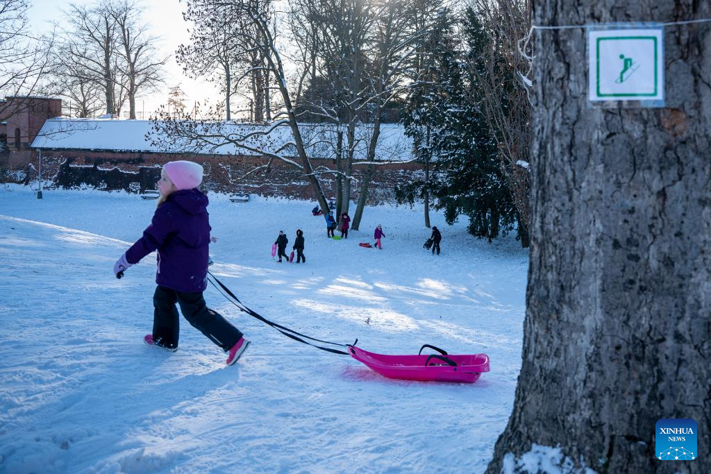 Snow view in Prague, Czech Republic-Xinhua