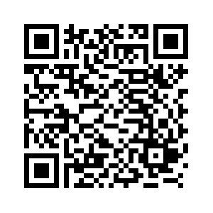 U.S. CPI growth remains at 2.7 pct in December-Xinhua